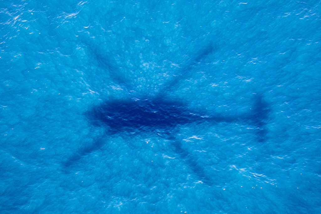 Recoverable Torpedo Exercise - Second Line of Defense