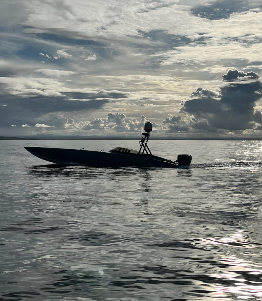Delivering Mission Capabilities to the Fleet via USVs: From Platforms ...