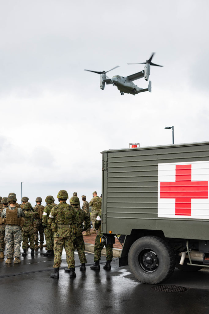 Employment of Expeditionary Hospitalization on the First Island Chain ...